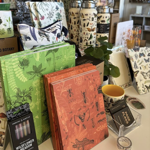 Cognitive Surplus | AIR Company